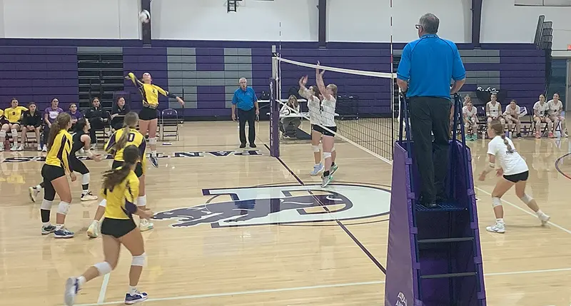 The Delavan Dispatch